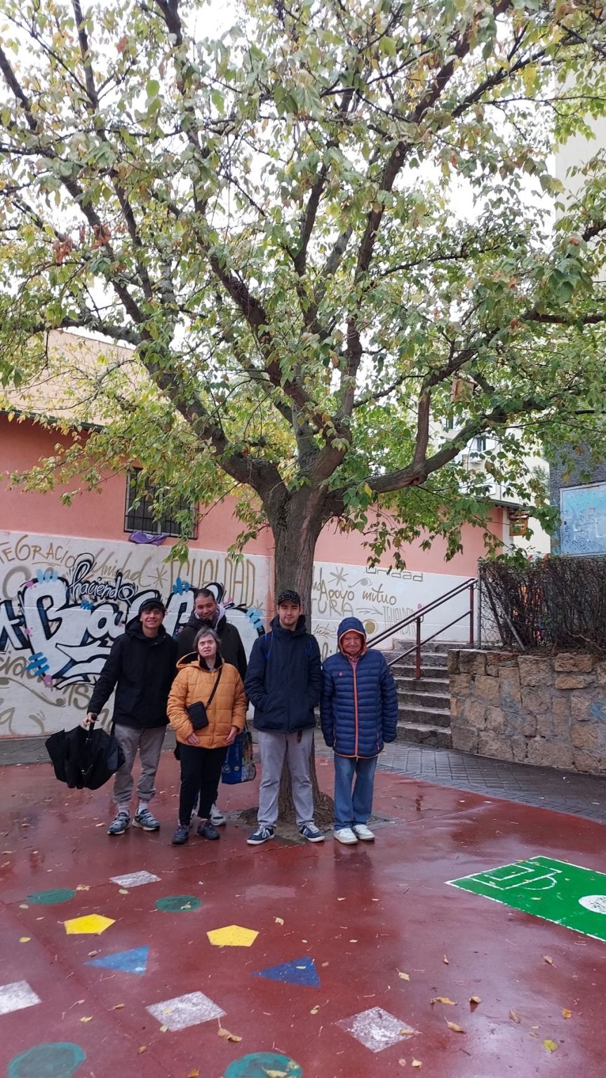 Centros Ocupacionales Madrid – Fundación SER